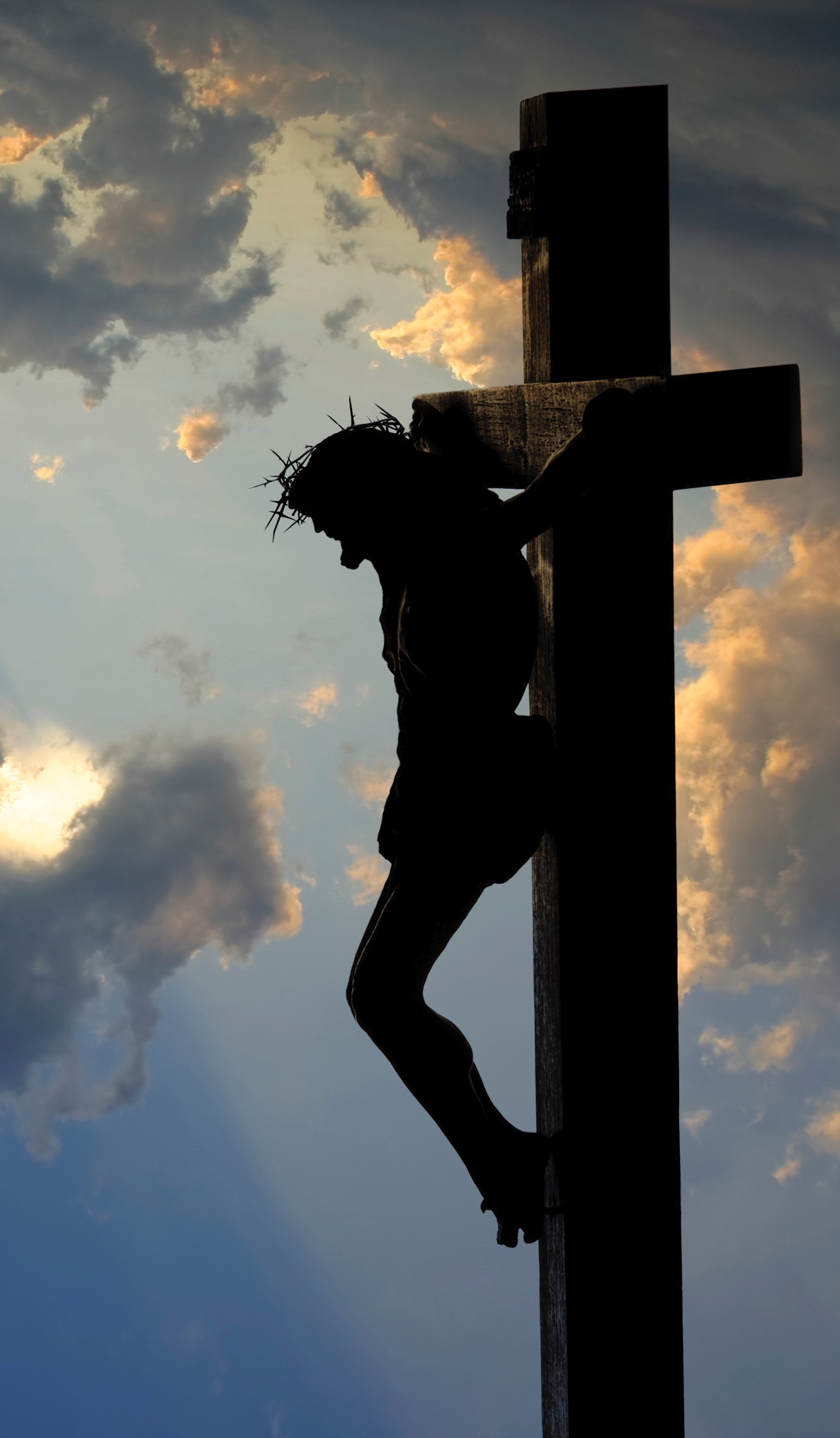Ashamed of Jesus - The Now Word