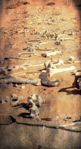 Our Lady: Prepare - Part II - The Now Word