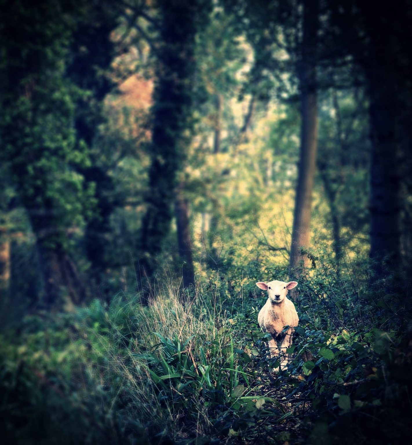 Our Lady: Prepare - Part III - The Now Word