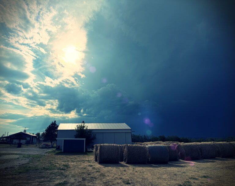 Out of My Control - The Now Word